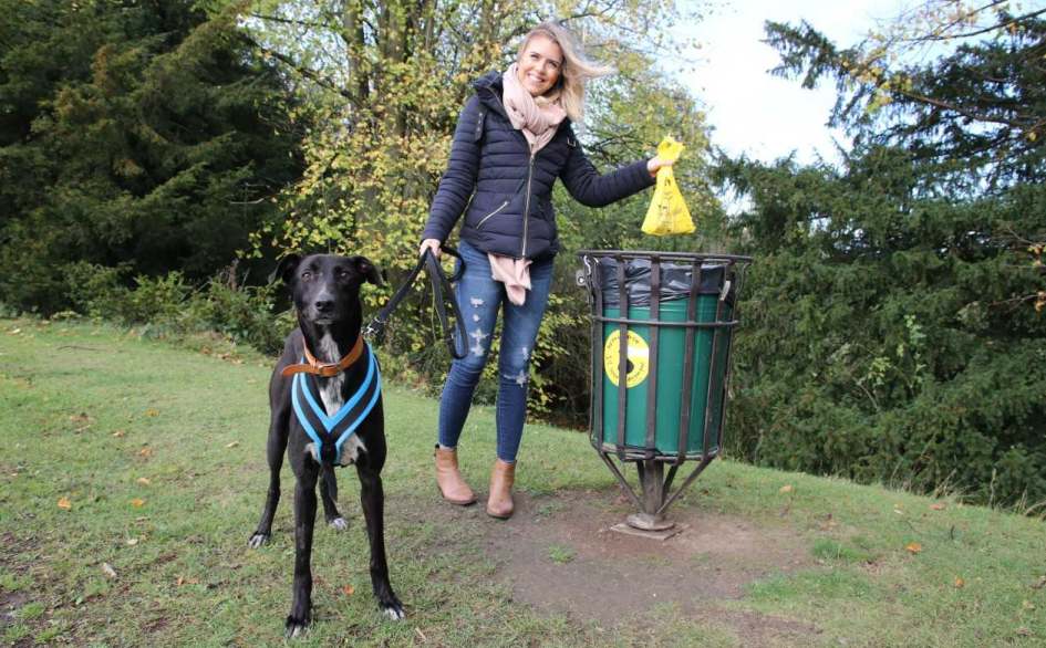 Residents urged to nominate a park or walk for a dog poo makeover - The ...