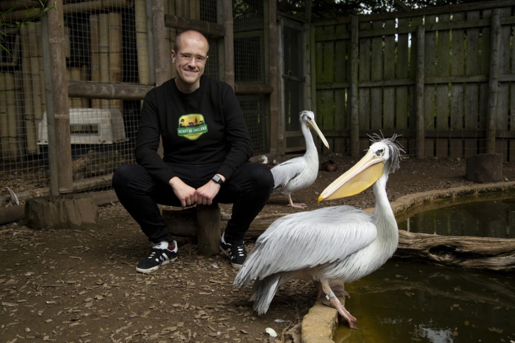 Animal magic! Amazing plans to create Wildlife Park in Redditch - The ...