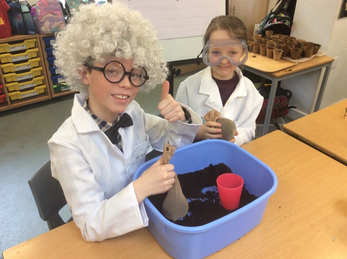 Experiments aplenty as pupils go hands-on for Science Week - The ...