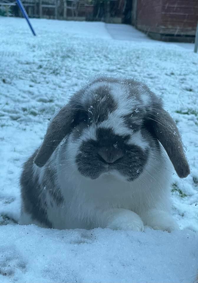 YOUR PICTURES- Redditch Standard readers send in their snaps of the ...