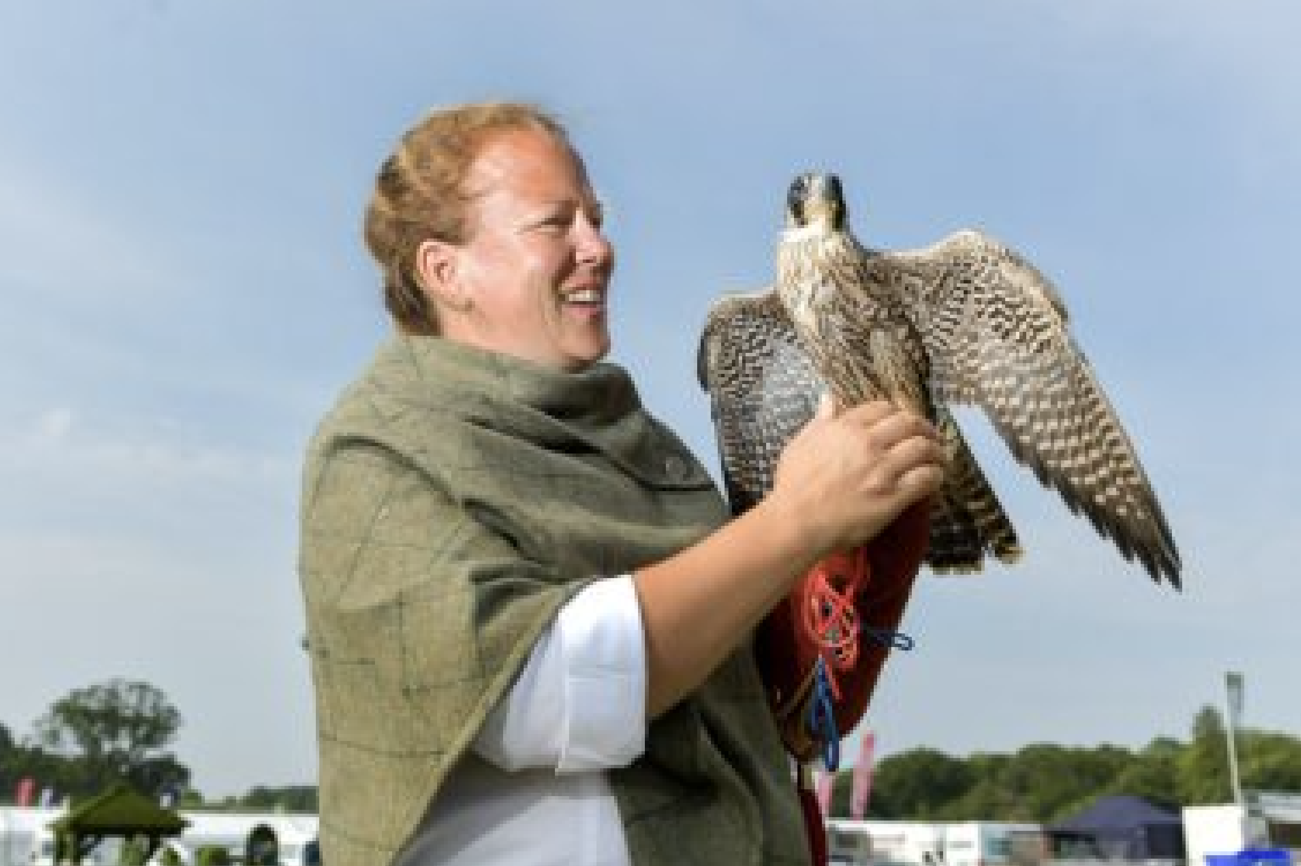 Game Fair returns to celebrate the British countryside - The Redditch ...
