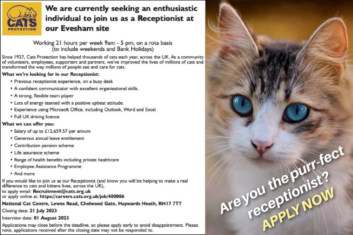 LOVE CATS? This could be the purr-fect job for you... - The Redditch ...