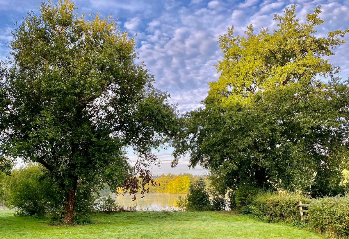 Don't Leave Yet: Reasons to Stay in Redditch - The Redditch Standard