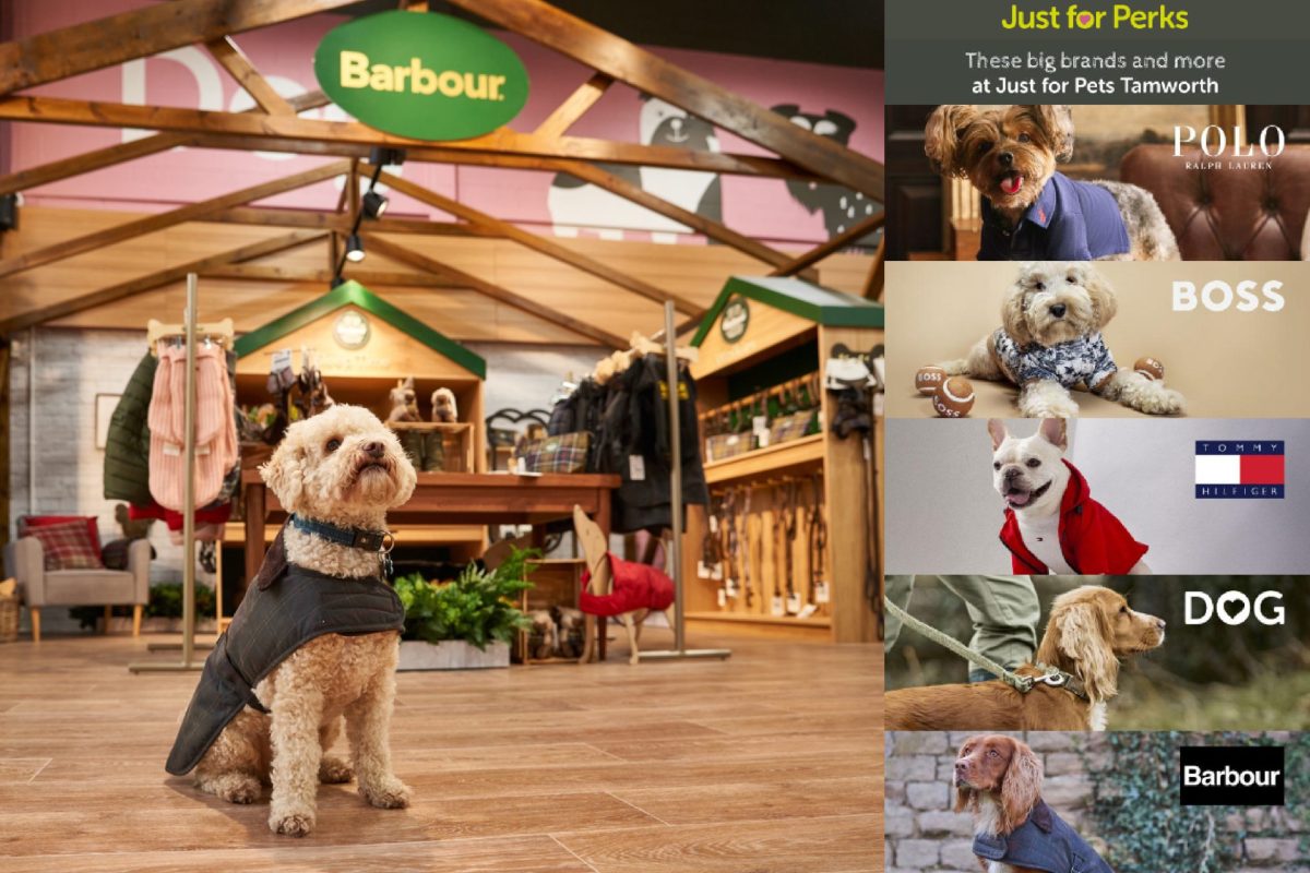 Just for Pets: The Catwalk Goes Canine as BIG Designer Pet Brands Hit ...